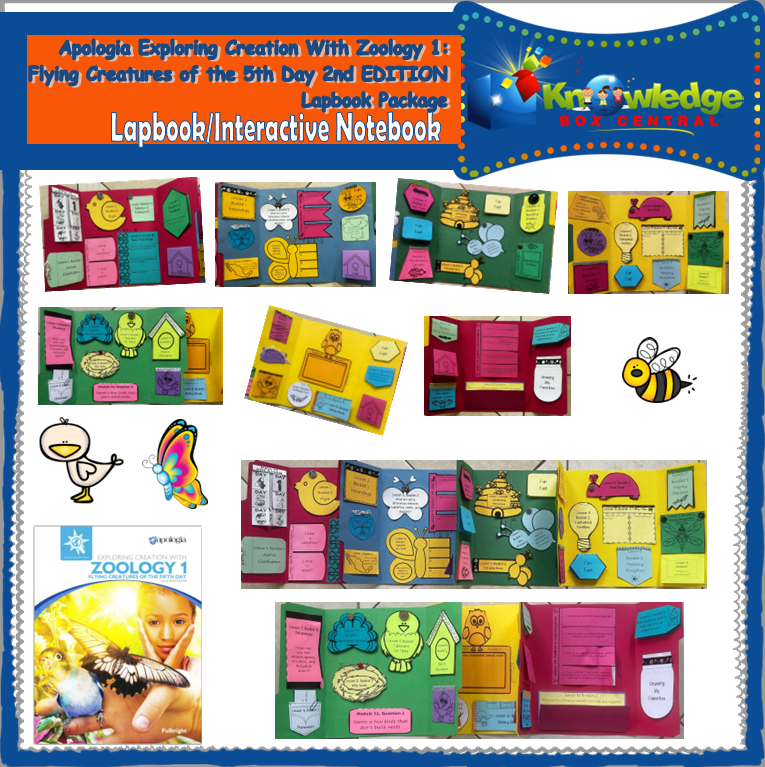 Apologia Exploring Creation w/ Zoology 1 : Flying Creatures of the 5th ...