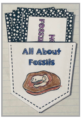 Fossils Interactive Foldable Booklets – Knowledge Box Central