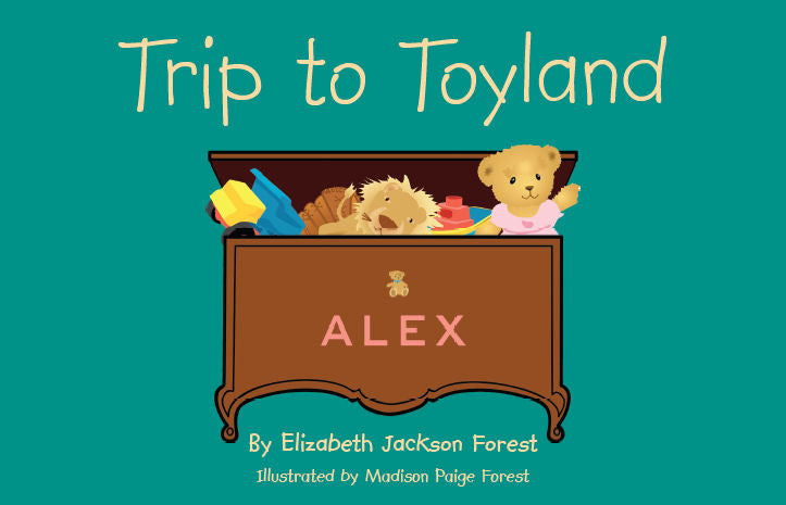 Trip to Toyland Children's Book – Knowledge Box Central
